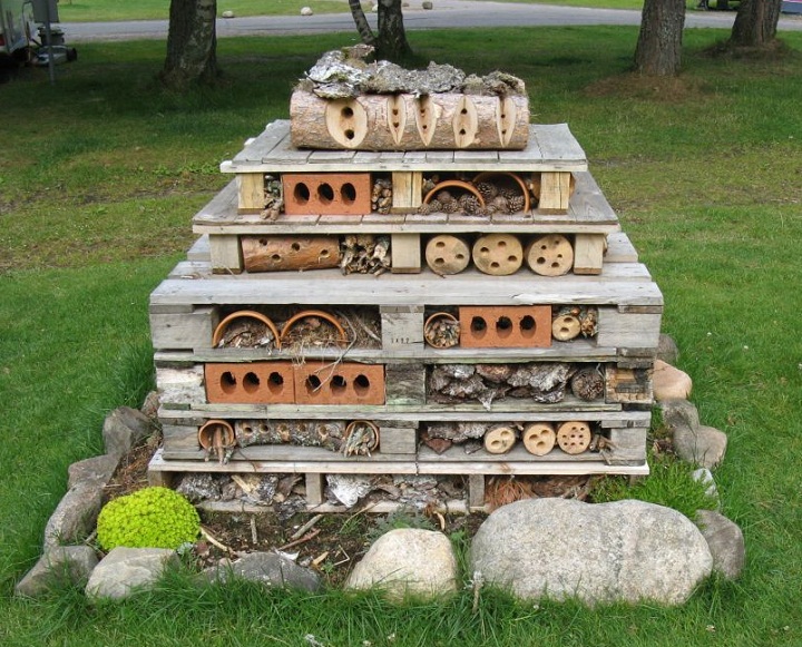 Insect Hotel • Insteading
